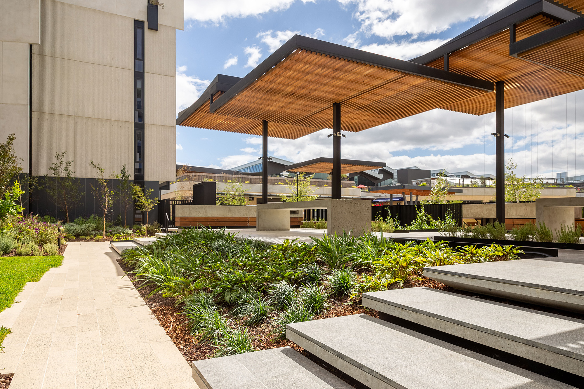 1 – Landscape Plus