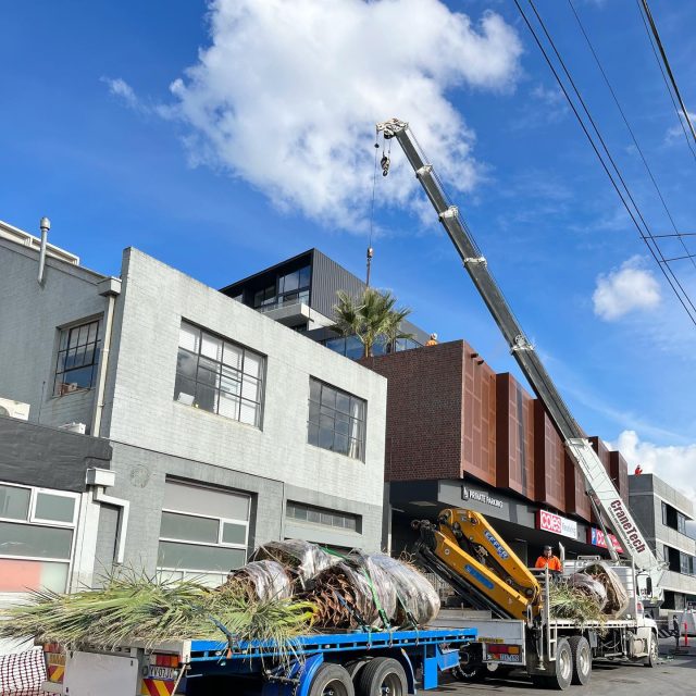 Contact – Landscape Plus